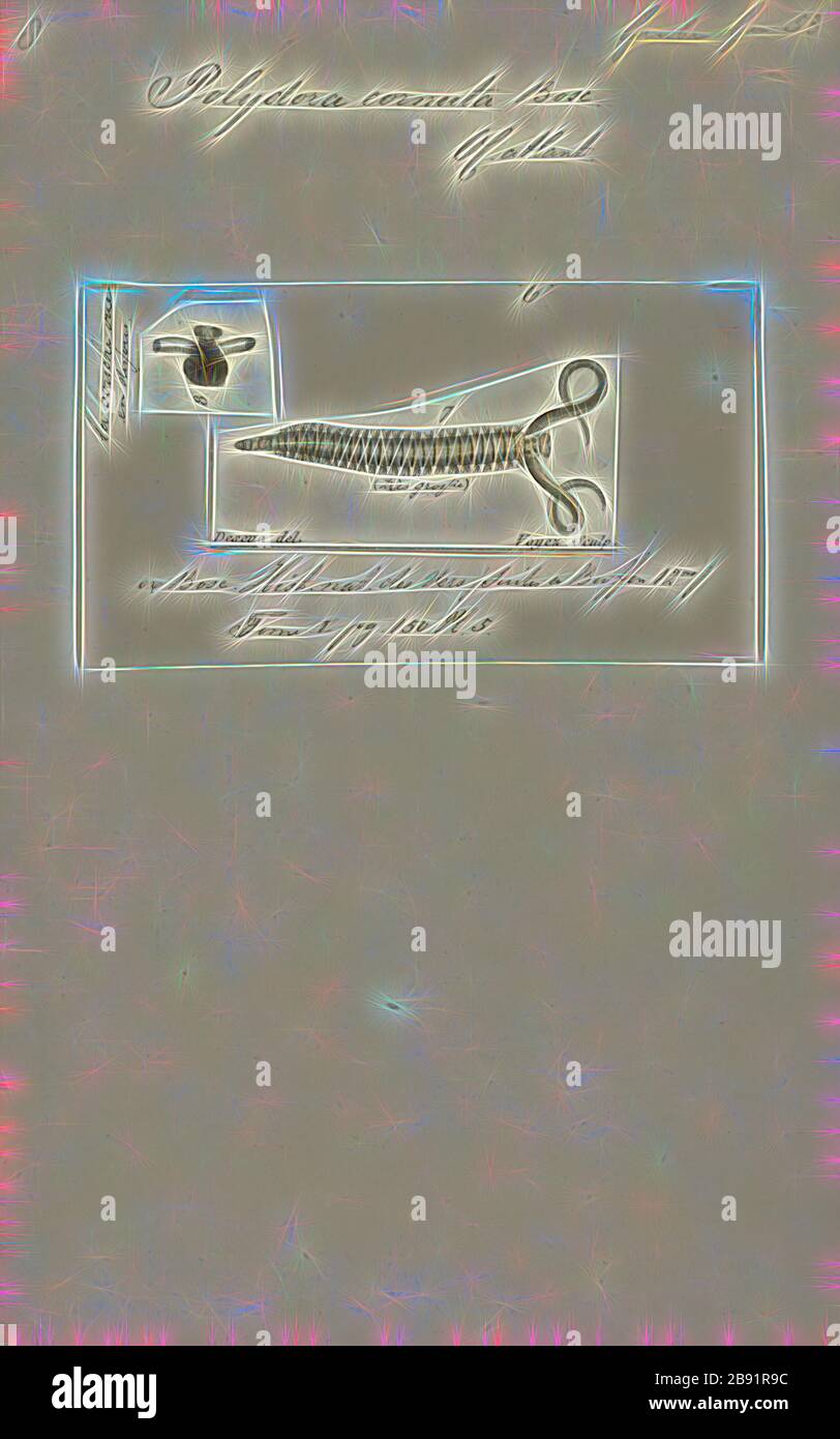 Polydora cornuta hi-res stock photography and images - Alamy