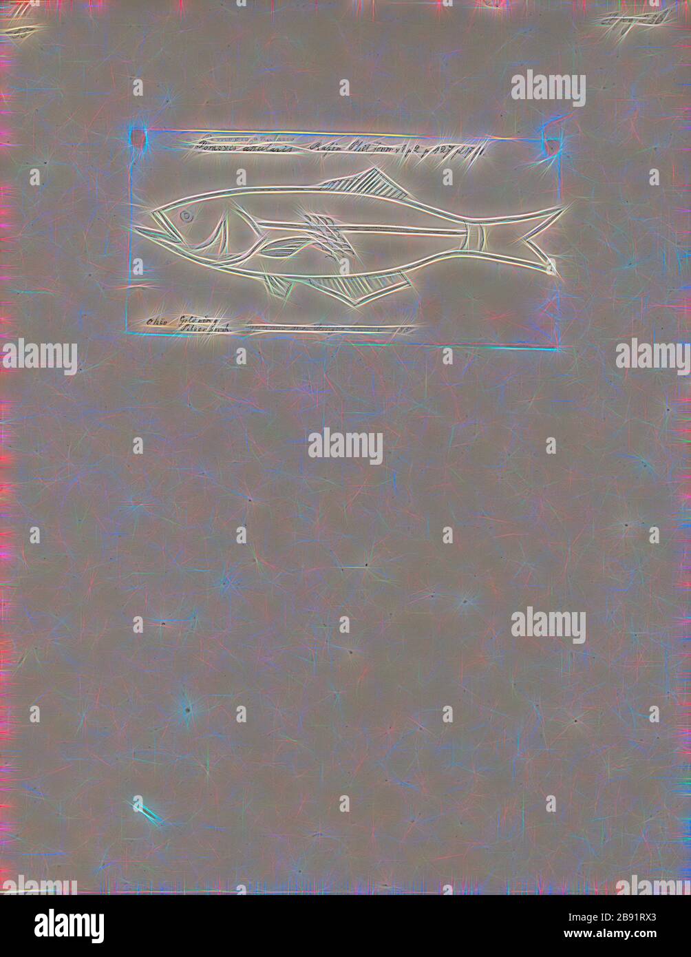 Operculum fish hi-res stock photography and images - Alamy