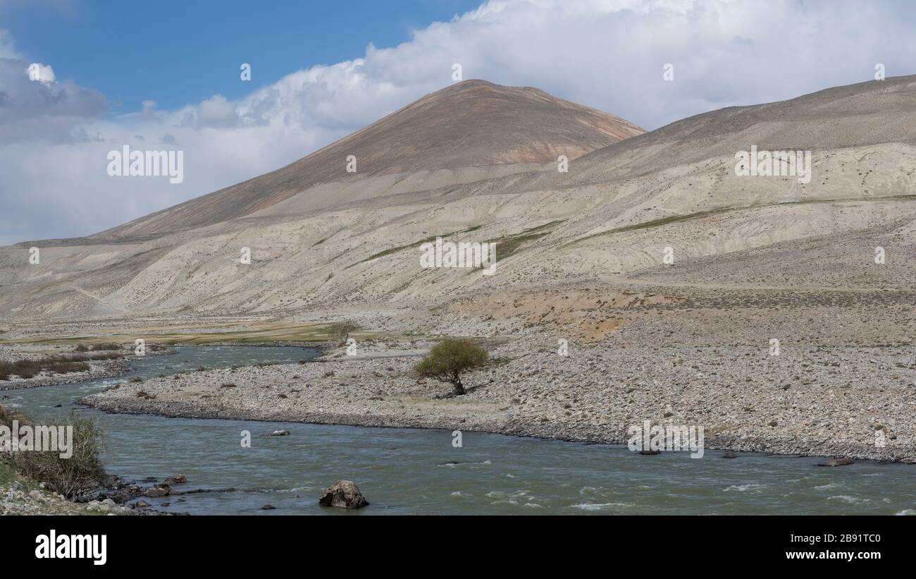 Reka Pamir River Valley with mountains and solitude tree in Wakhan ...