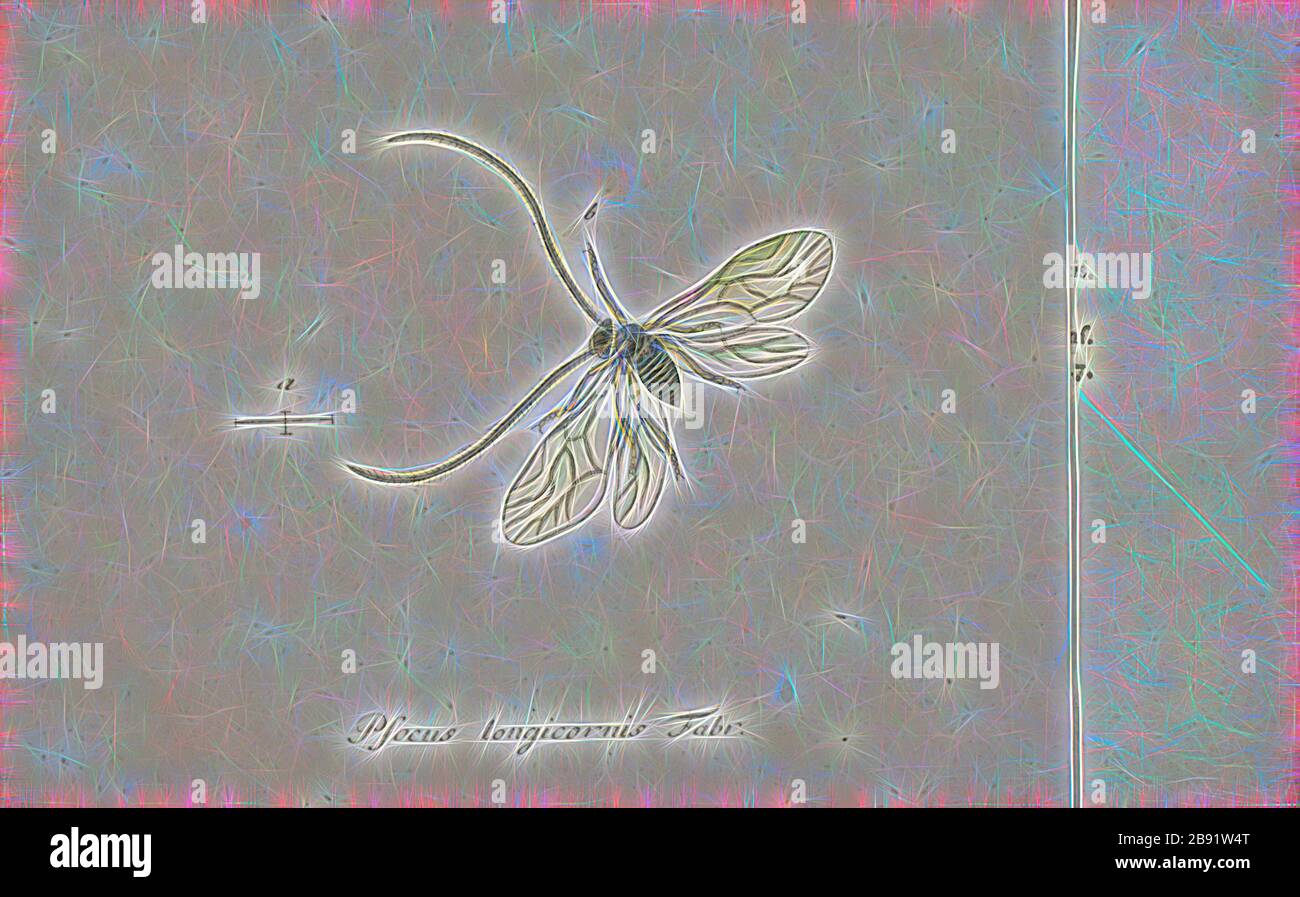 17 described species hi-res stock photography and images - Alamy