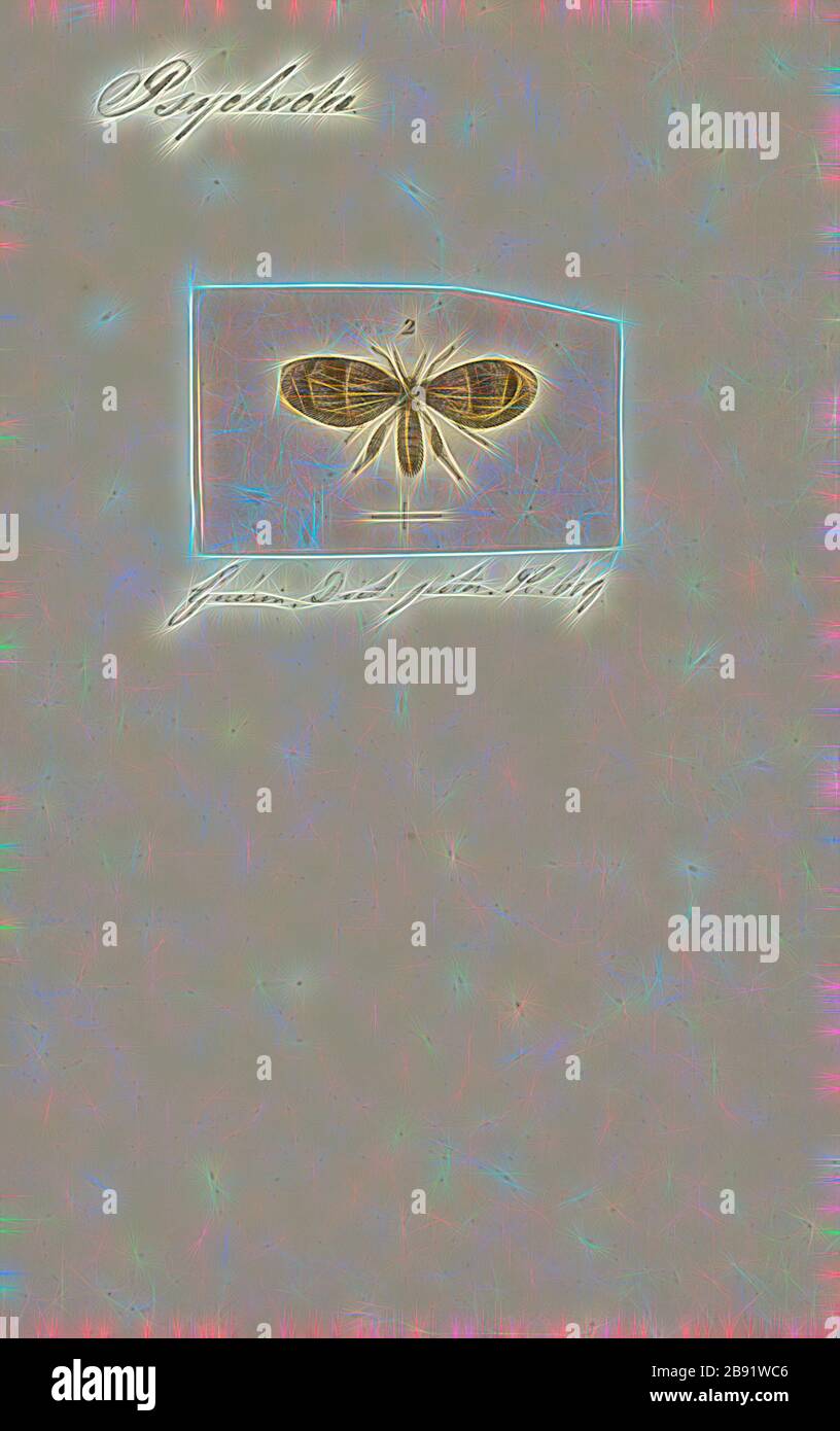 Psychoda, Print, Psychoda is a genus of moth flies in the family ...