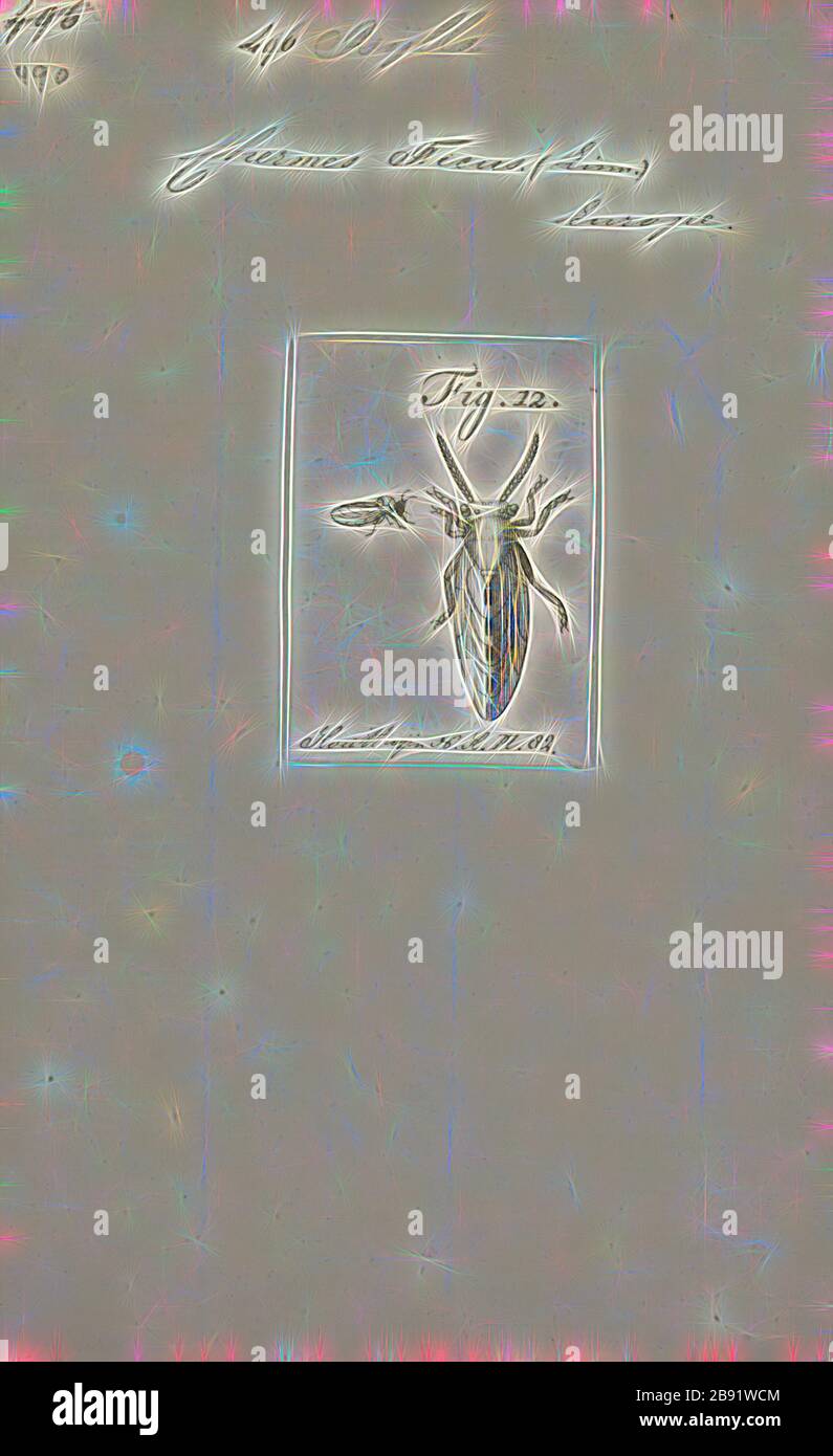 Psylla, Print, Psylla (from the Greek psulla, meaning flea) is a genus ...