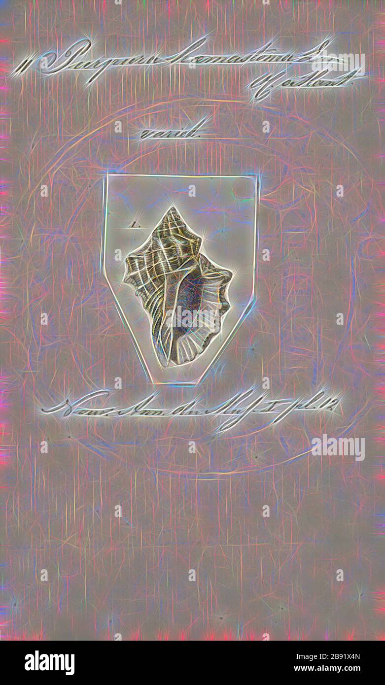 Purpura haemastoma, Print, Stramonita haemastoma, common name the red ...