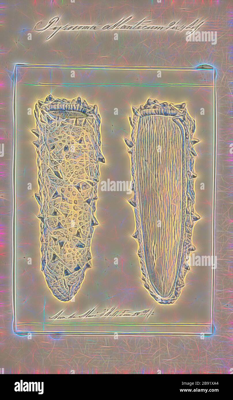 Words with meaning hi-res stock photography and images - Alamy