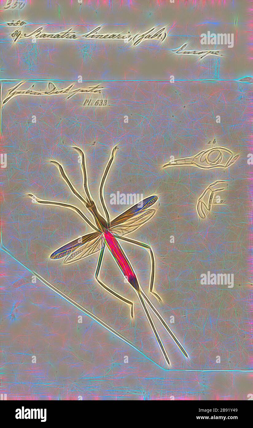 Slow moving insects hi-res stock photography and images - Alamy