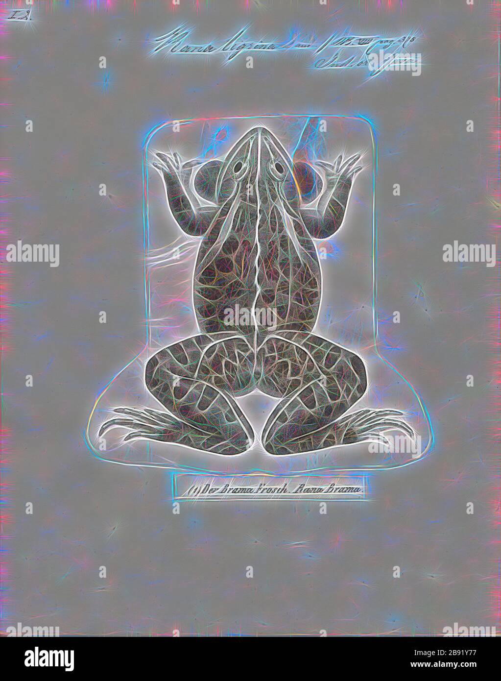 Nepal madagascar hi-res stock photography and images - Alamy