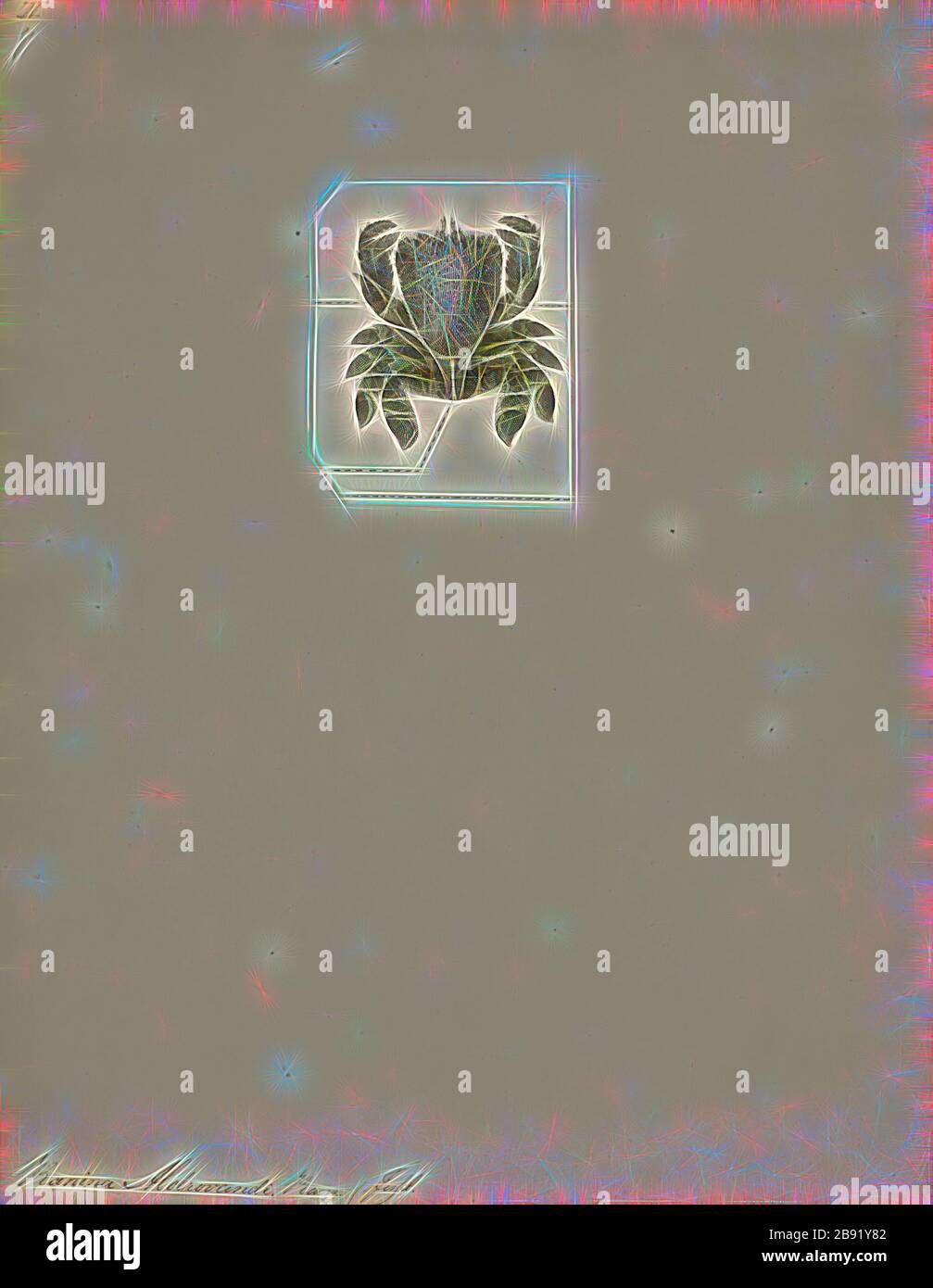 Raninidae family hi-res stock photography and images - Alamy