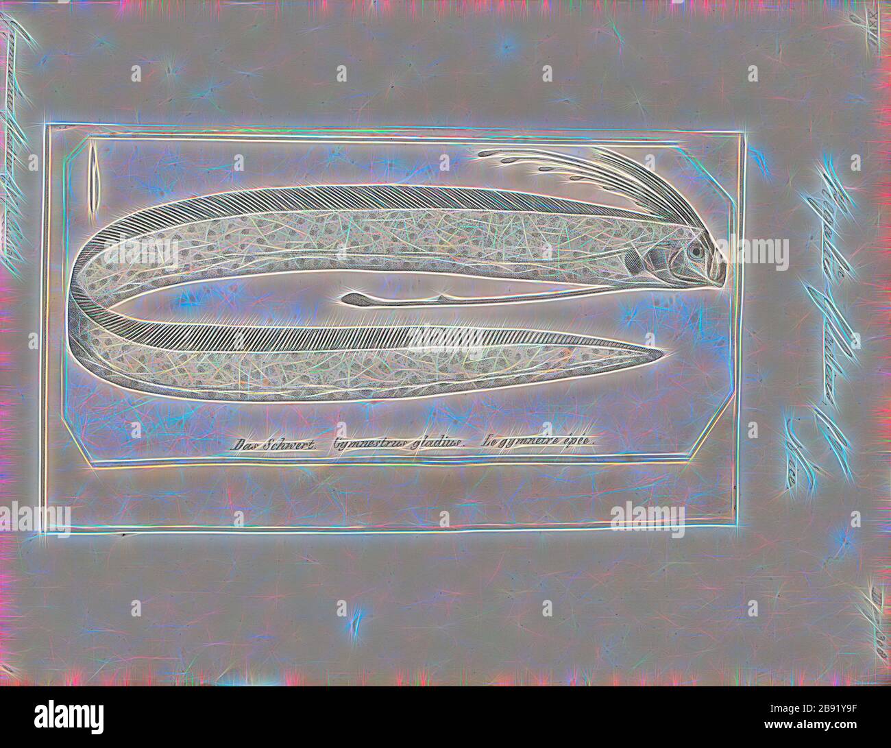 Oarfish hi-res stock photography and images - Alamy