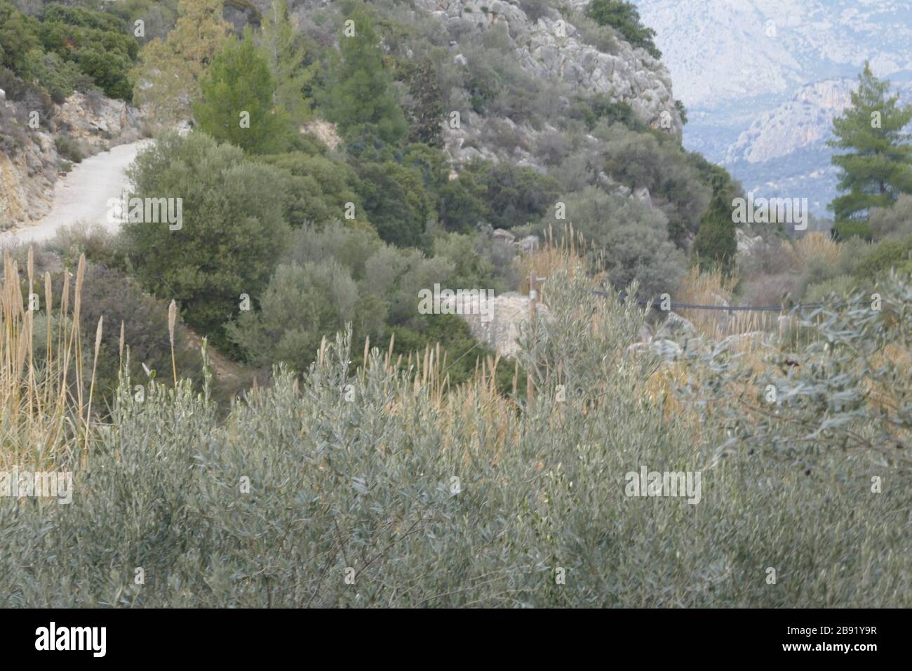 Arkadiko Bridge Mycenaean Bridge Stock Photo - Alamy