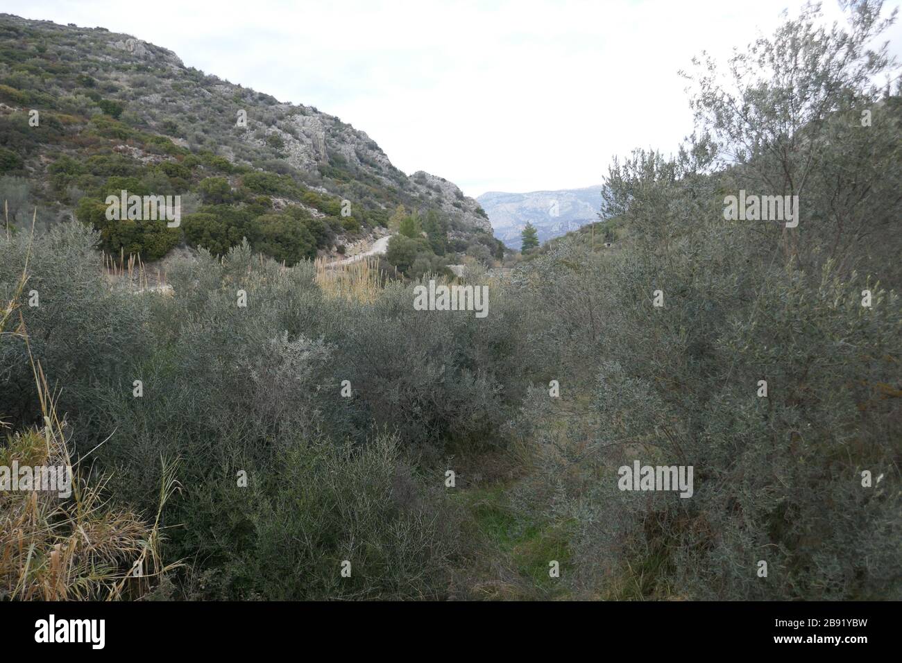 Arkadiko Bridge Mycenaean Bridge Stock Photo - Alamy