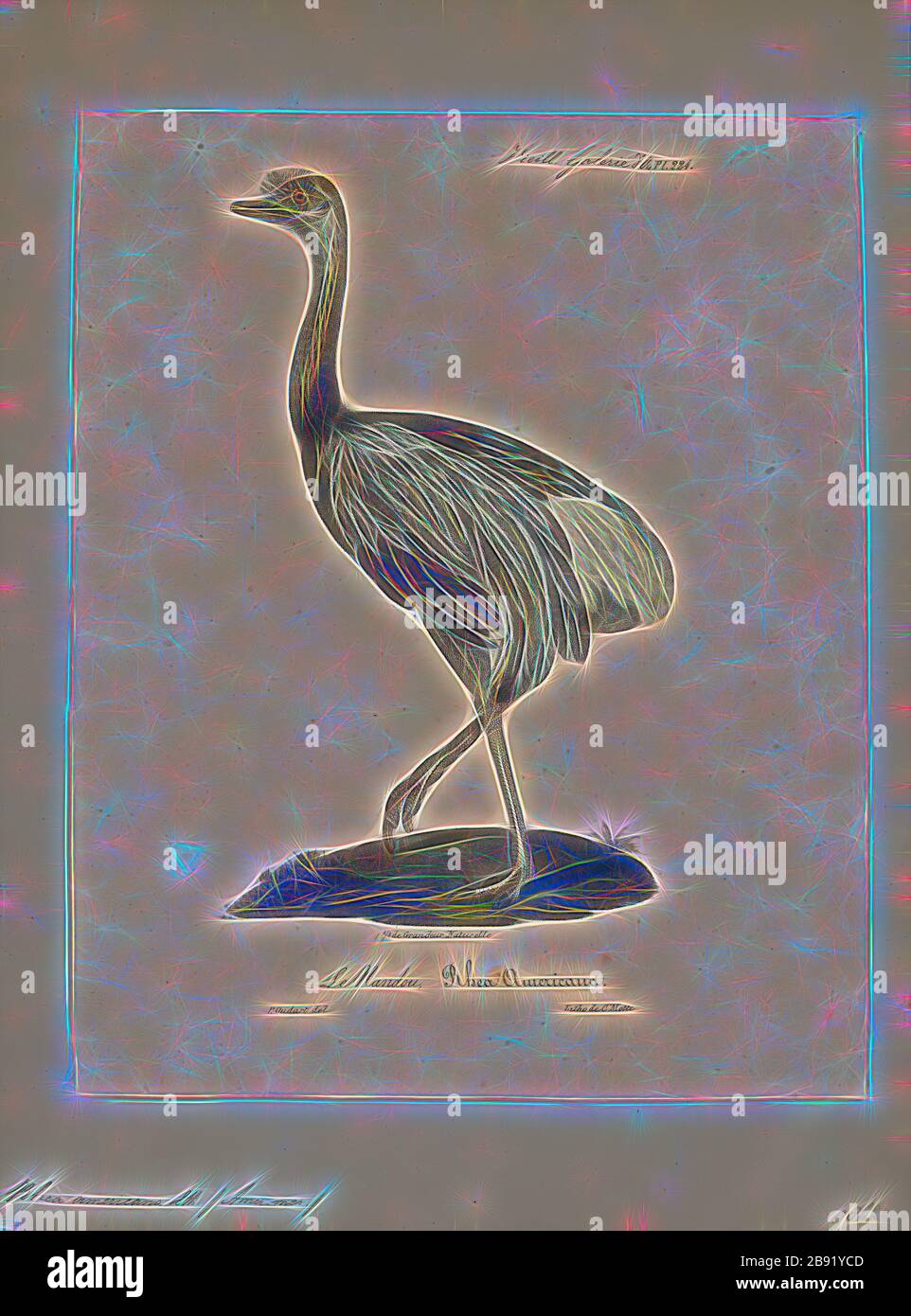 Life expectancy south america hi-res stock photography and images - Alamy