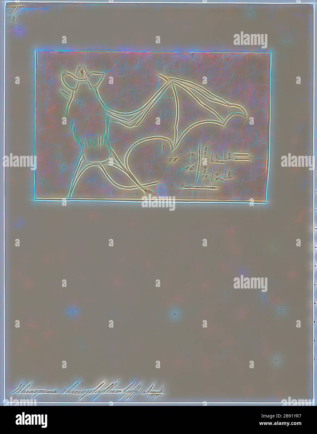 Rhinopoma rhinophyllum hi-res stock photography and images - Alamy