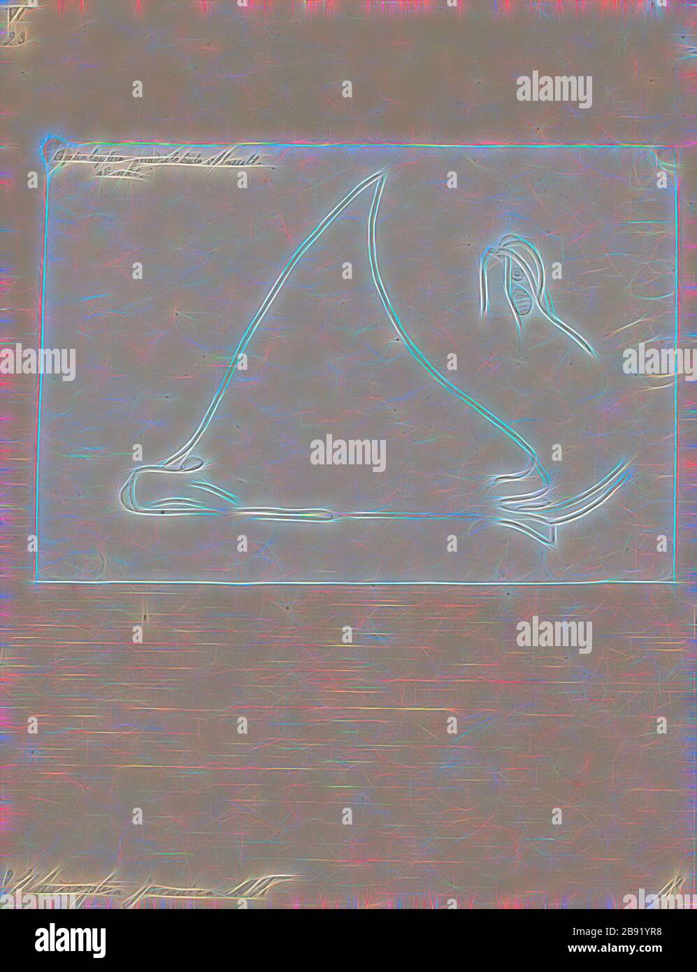 Rhinopteridae family hi-res stock photography and images - Alamy