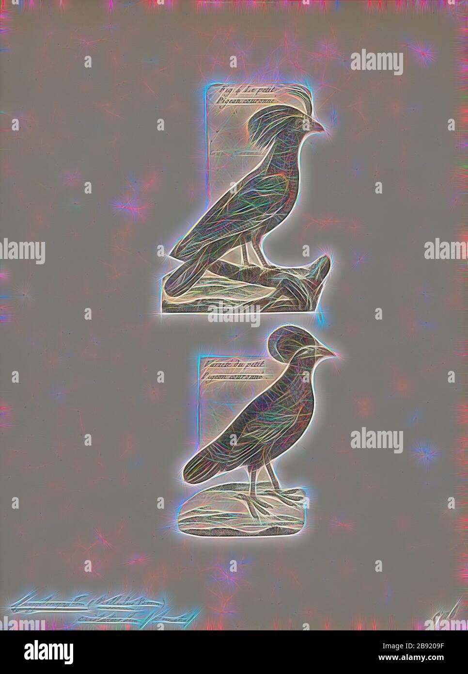 Roulroul partridge hi-res stock photography and images - Alamy