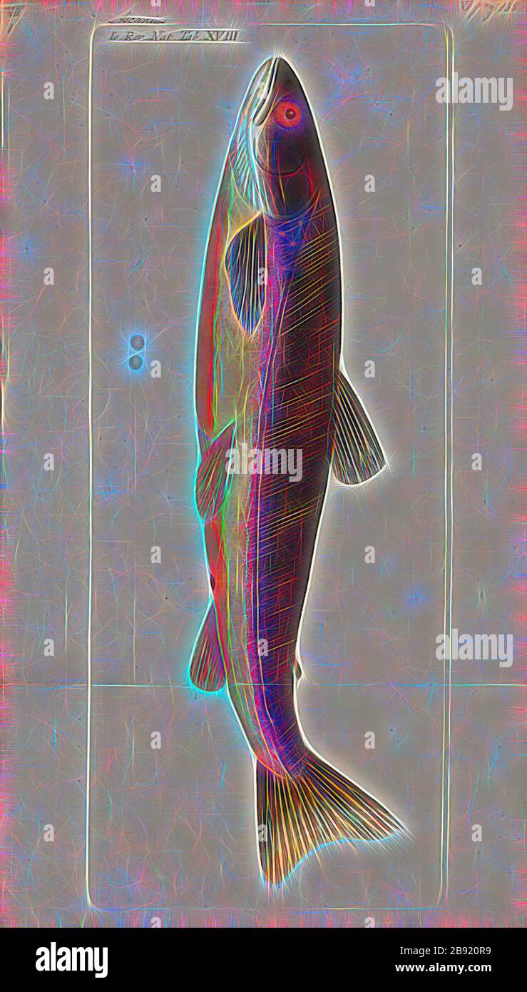 Salmo rutilus hi-res stock photography and images - Alamy