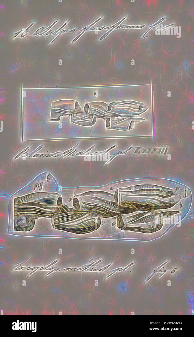 Salpa fusiformis hi-res stock photography and images - Alamy