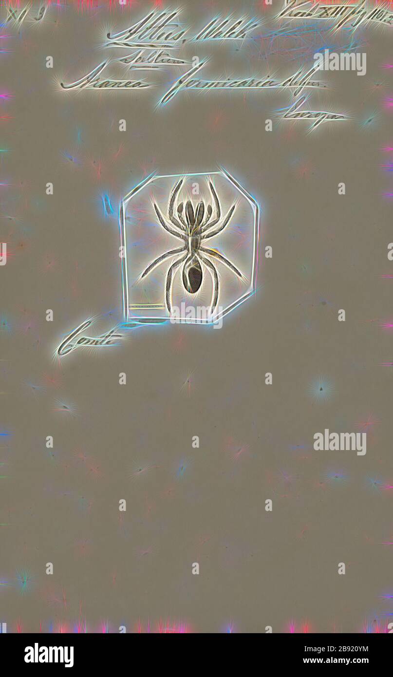 Salticus, Print, Salticus is a spider genus of the Salticidae family ...