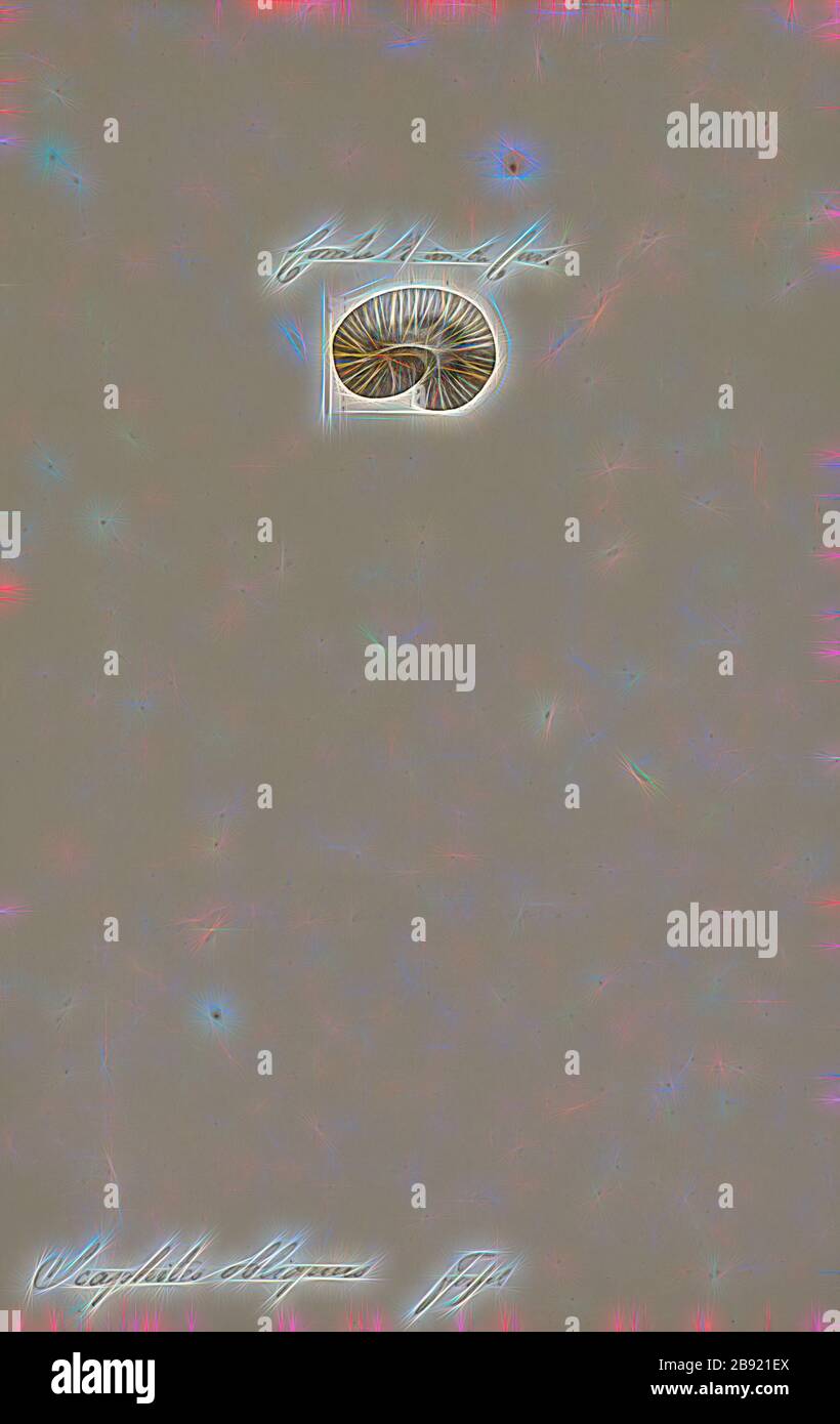 Scaphites obliquus, Print, Scaphites is a genus of heteromorph ...