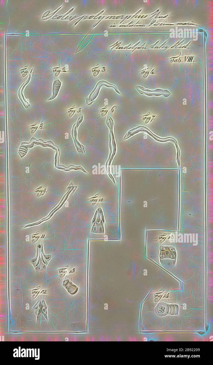 Scolex polymorphus, Print, Cestoda is a class of parasitic worms in the ...