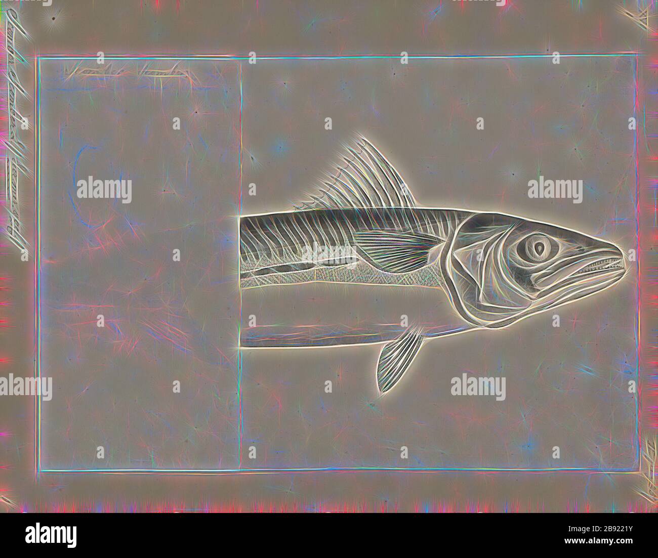 Rastrelliger fishes hi-res stock photography and images - Alamy