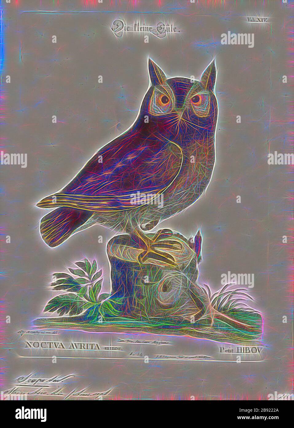 Important difference hi-res stock photography and images - Alamy