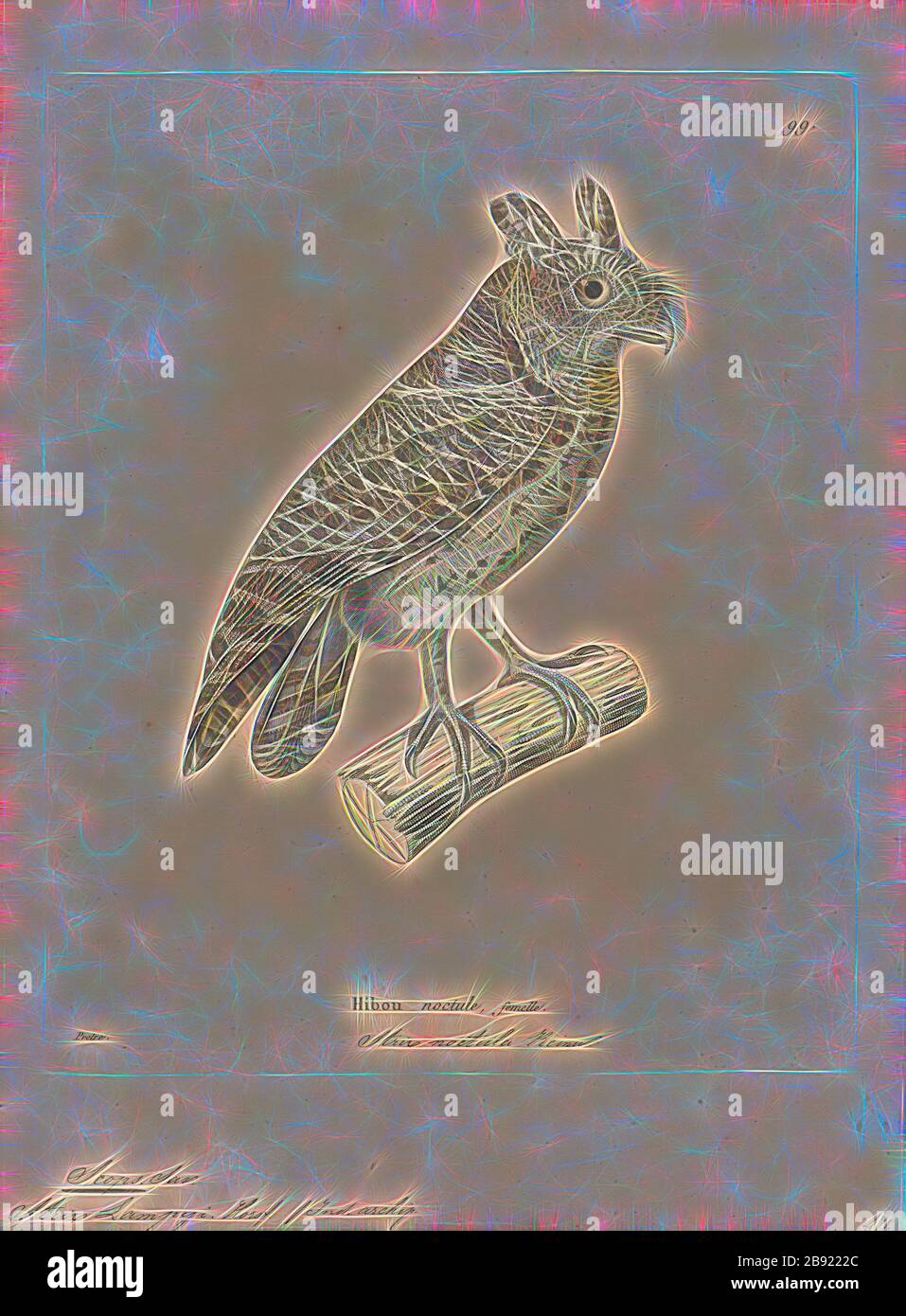 Scops lempiji, Print, Scop, A scop was a poet as represented in Old ...