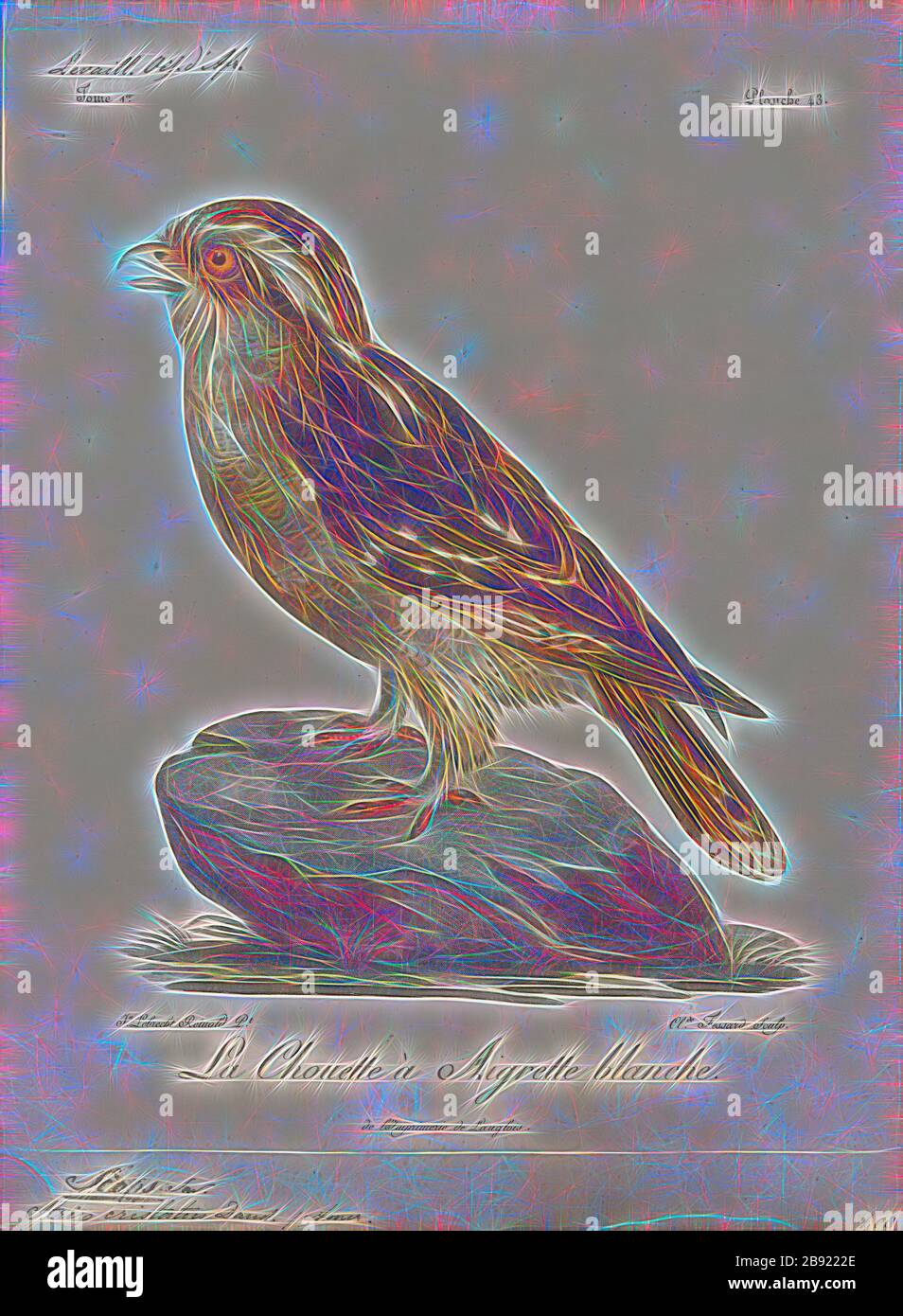 Old norse literature hi-res stock photography and images - Alamy