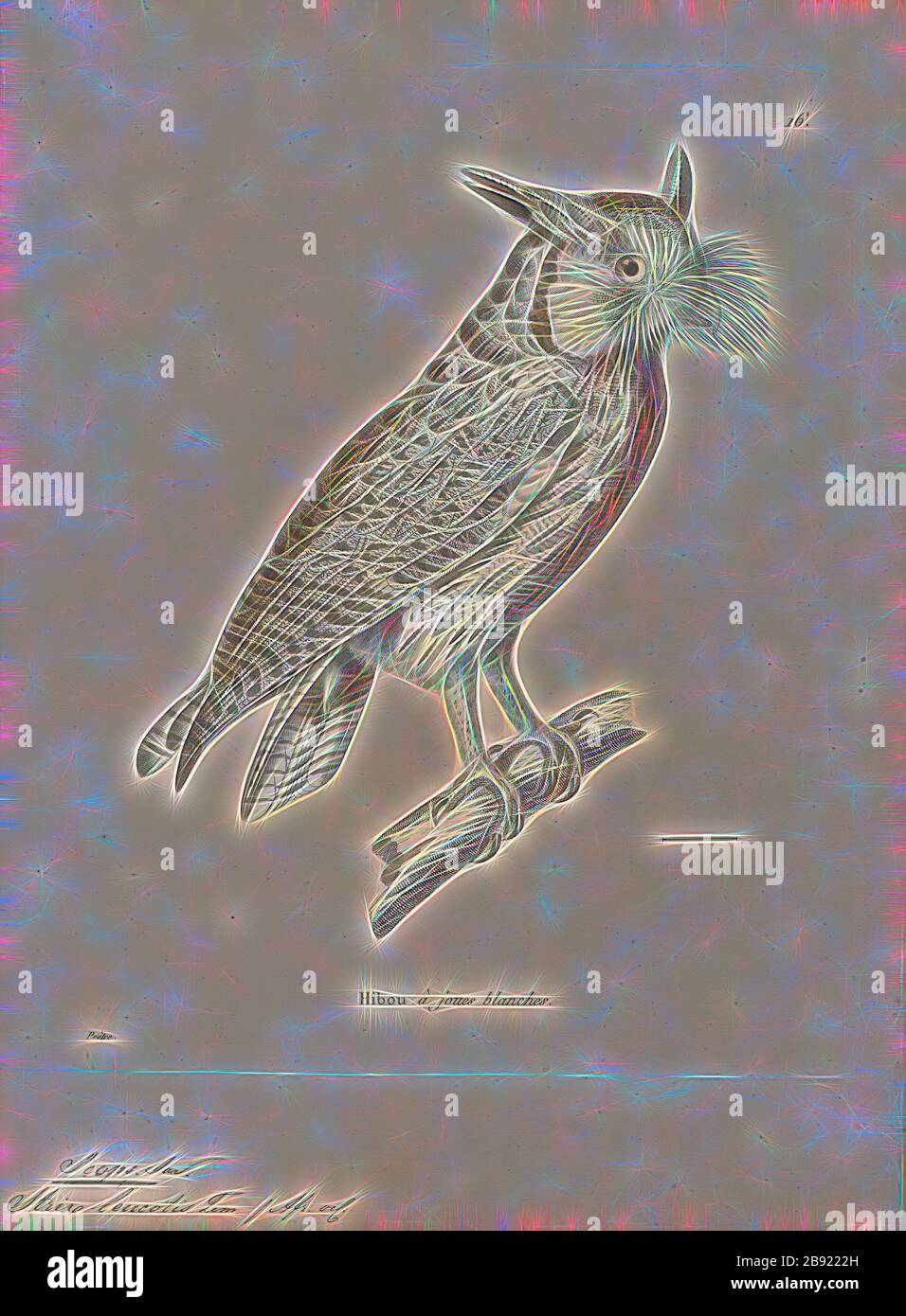 Important difference hi-res stock photography and images - Alamy