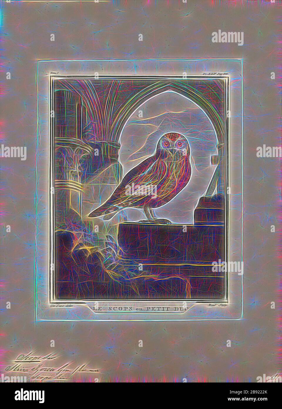 Important difference hi-res stock photography and images - Alamy