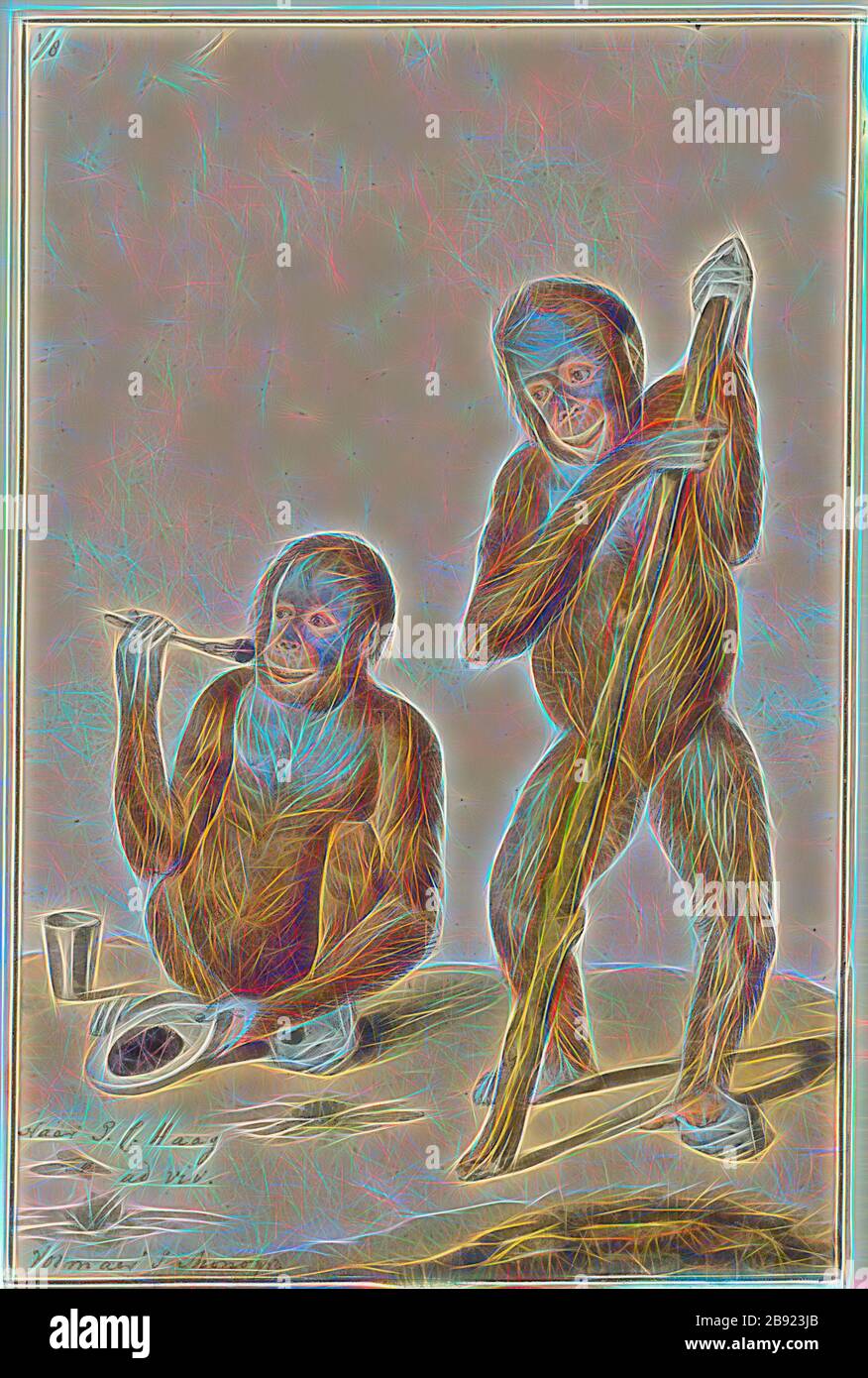 Old World Monkeys O High Resolution Stock Photography and Images - Alamy