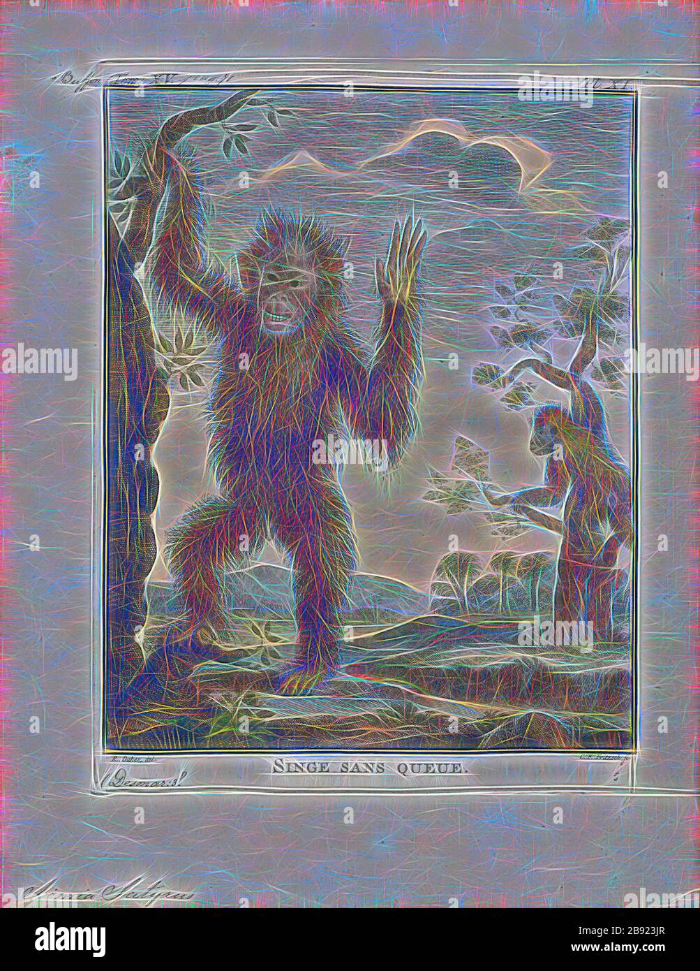 Evolved apes hi-res stock photography and images - Alamy