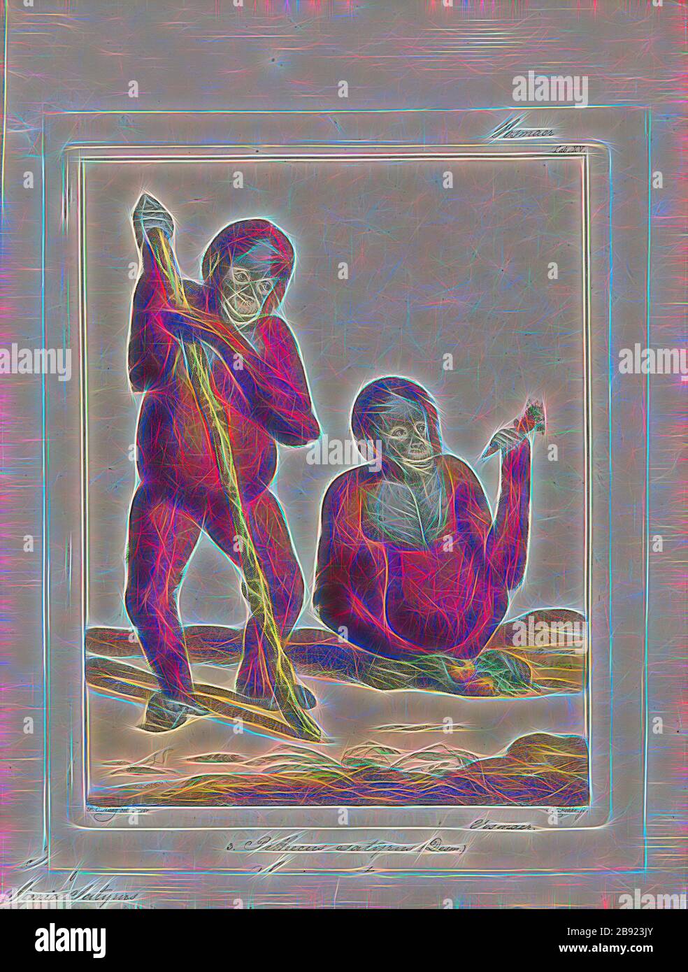 Old World Monkeys O High Resolution Stock Photography and Images - Alamy