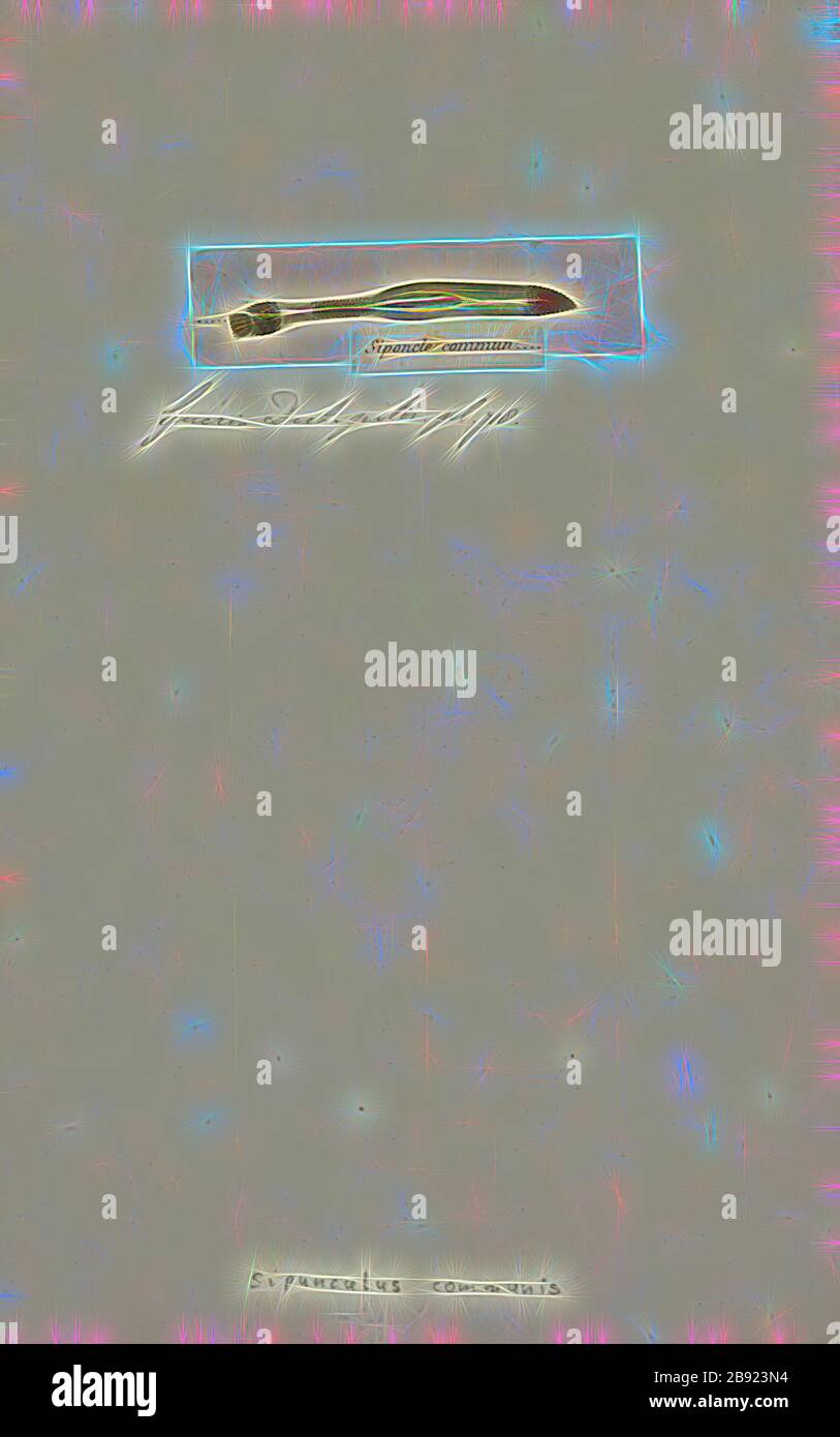 Sipunculus communis hi-res stock photography and images - Alamy