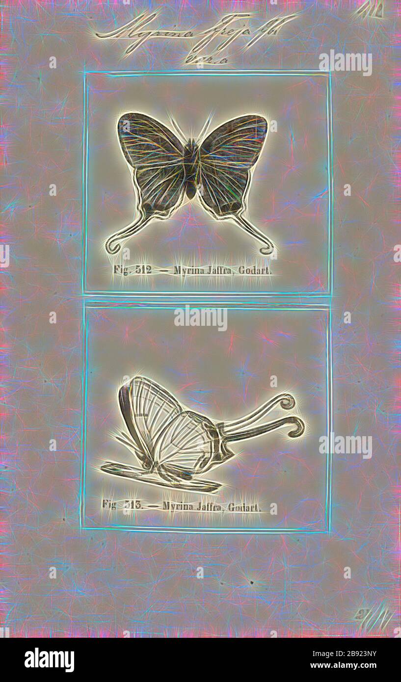 Sithon, Print, Sithon is a genus of butterflies in the family ...