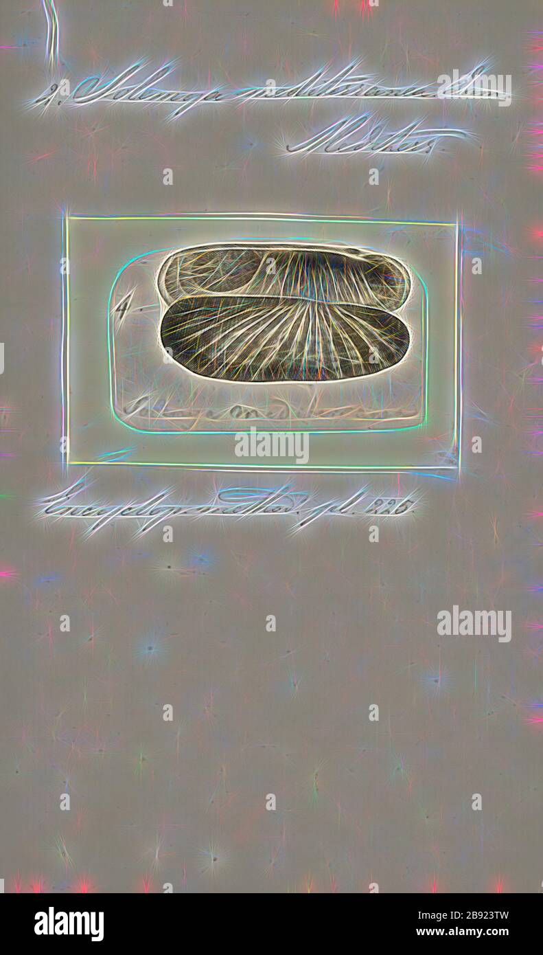 Awning clams hi-res stock photography and images - Alamy