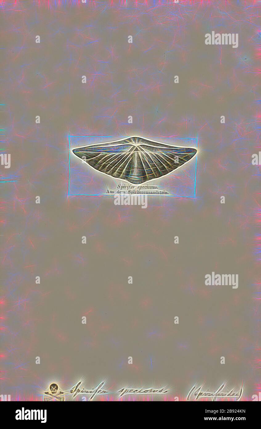 Spirifer hi-res stock photography and images - Alamy