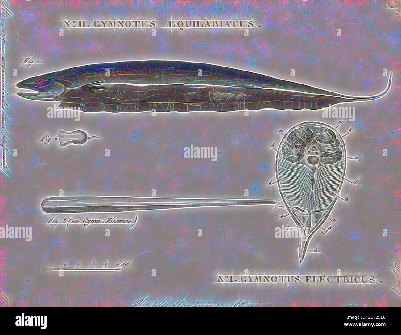 Essentially static waters hi-res stock photography and images - Alamy