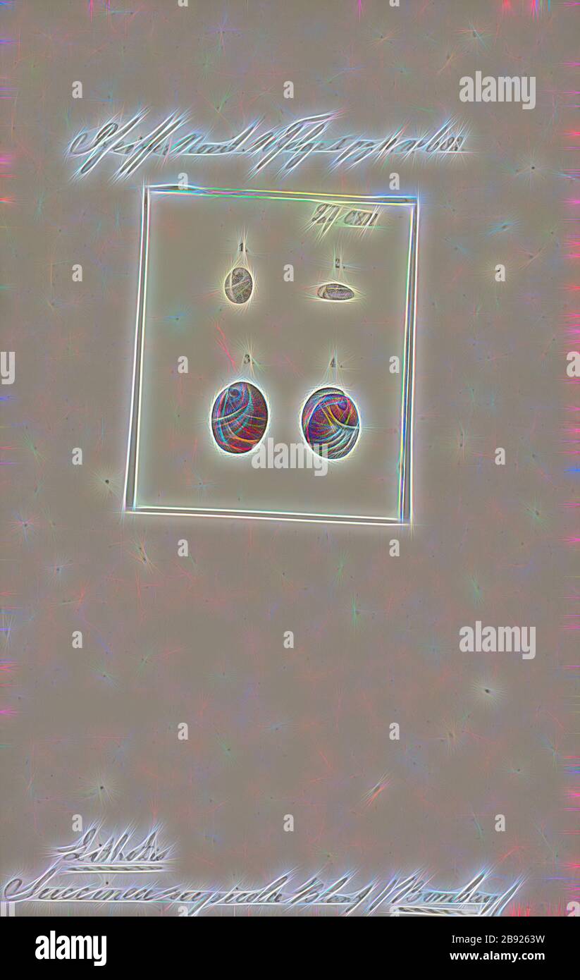 Succinea rupicola, Print, Succinea, common name the amber snails, is a ...