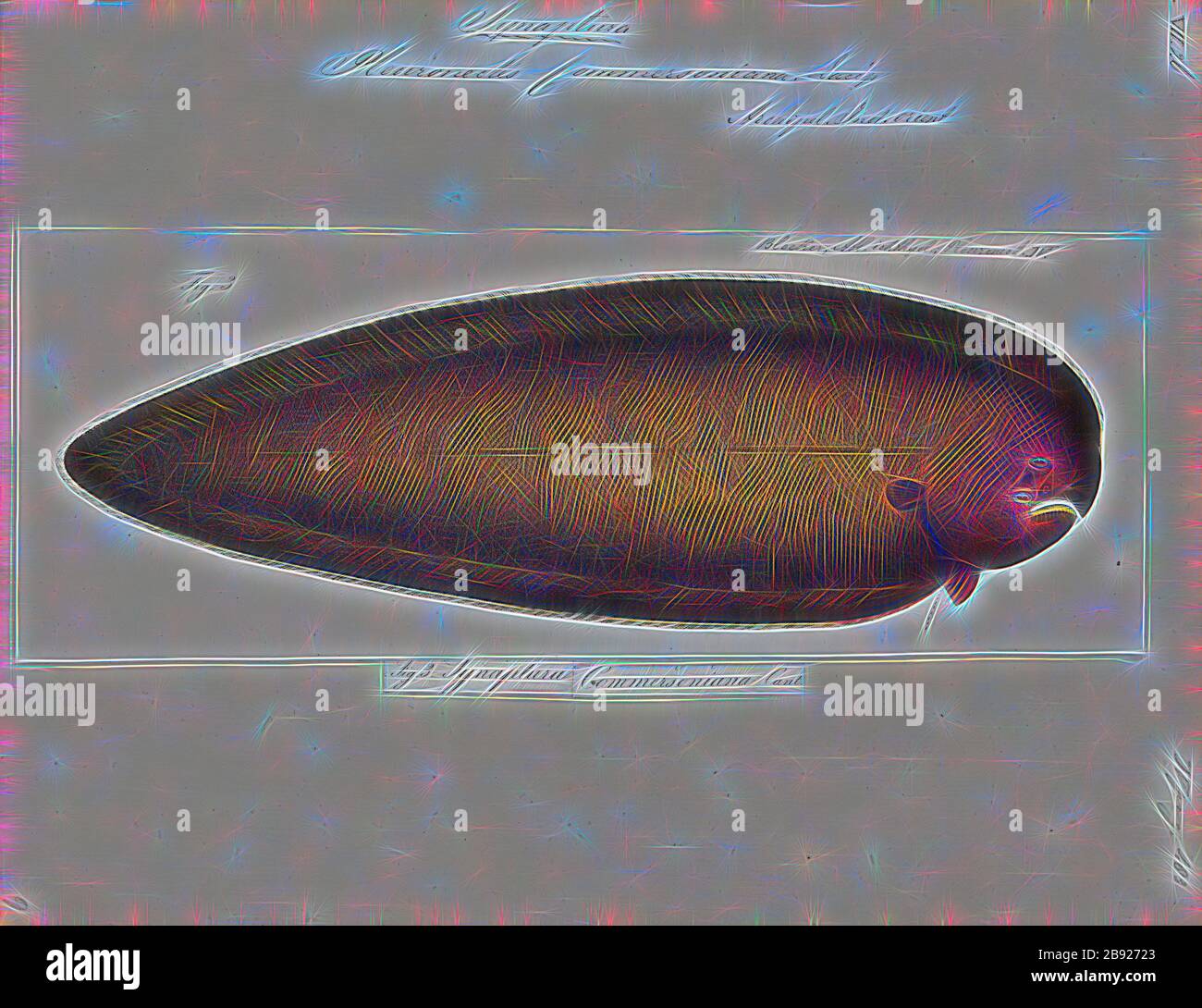 Salinarum hi-res stock photography and images - Alamy