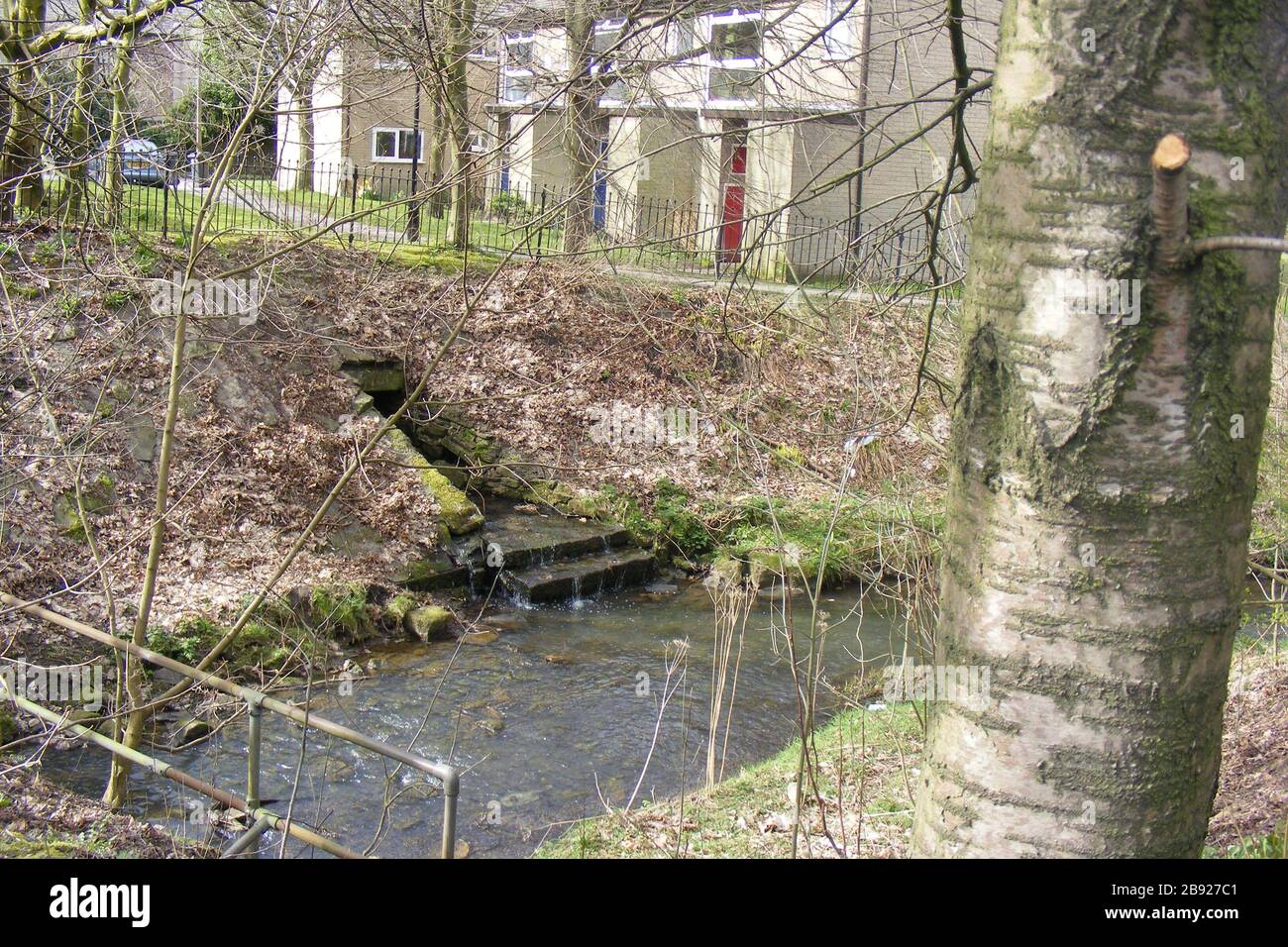 P Hogg High Resolution Stock Photography and Images - Alamy