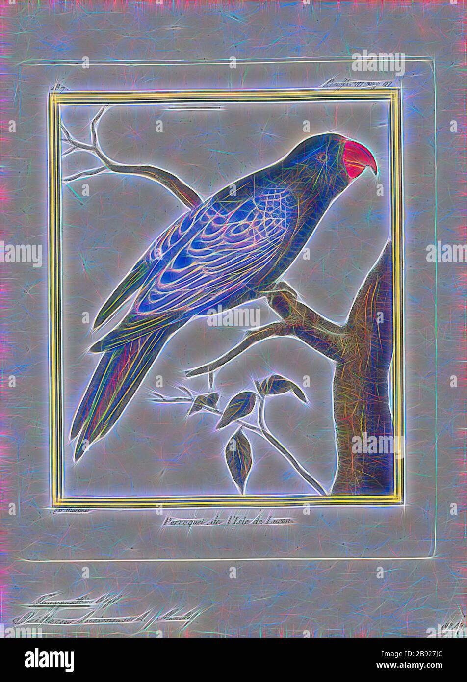 Philippine green parrot hi-res stock photography and images - Alamy