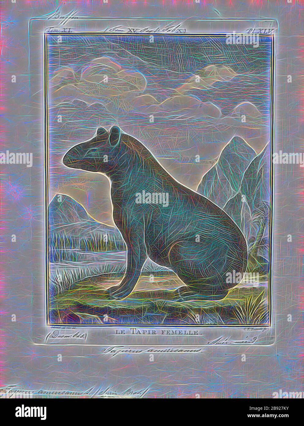 Tapirus americanus, Print, A tapir is a large, herbivorous mammal ...