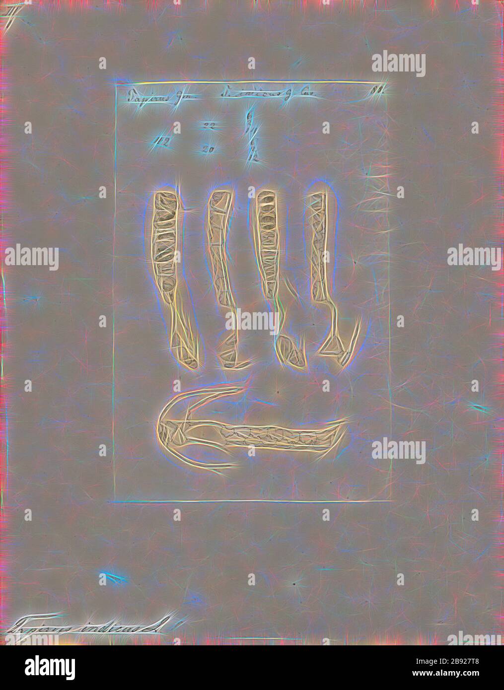 Indian tapir hi-res stock photography and images - Alamy