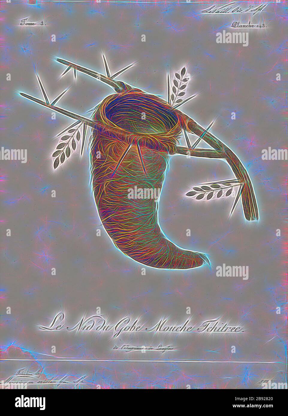 Tail streamers hi-res stock photography and images - Alamy