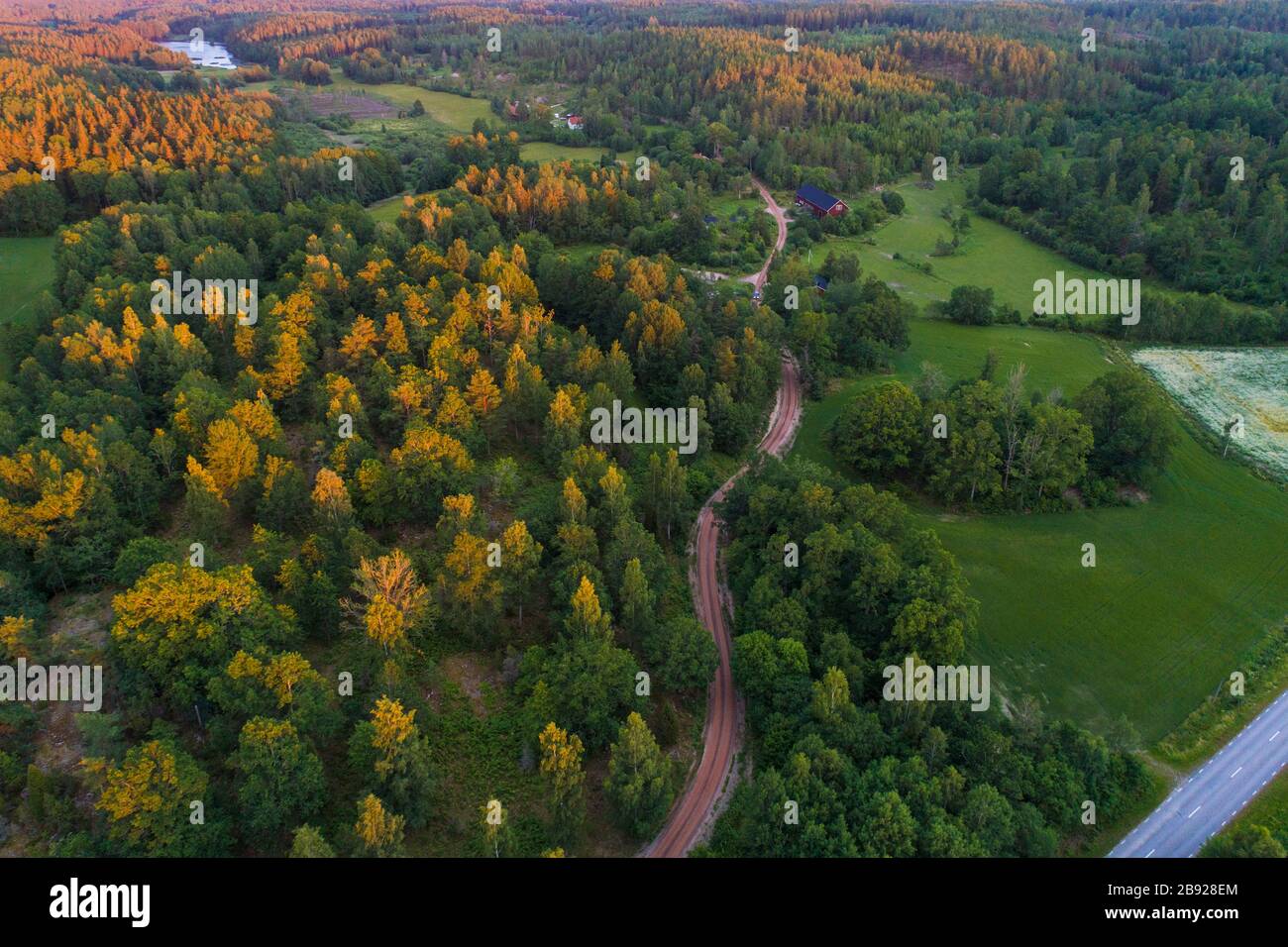 Sweden forest aerial hi-res stock photography and images - Alamy