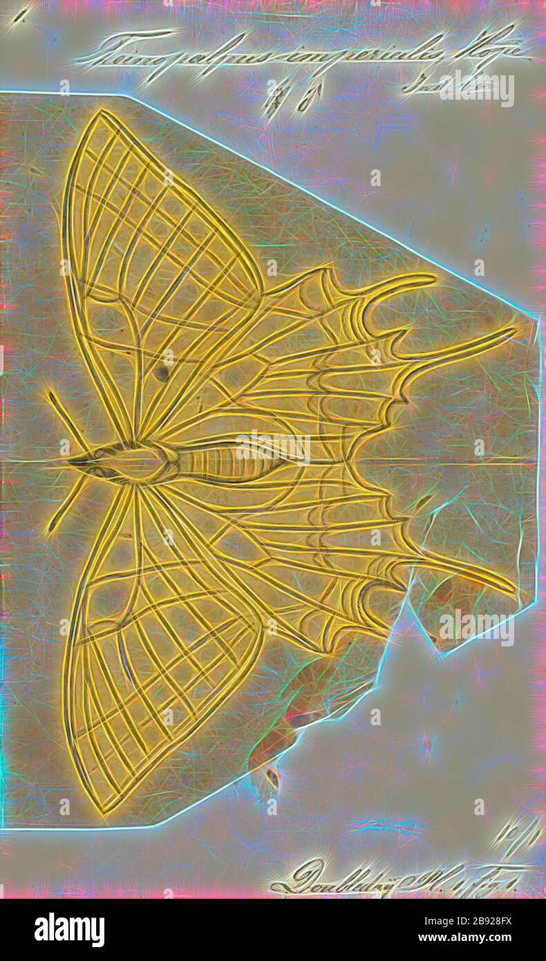 Teinopalpus, Print, Teinopalpus is a genus of butterfly in the family ...