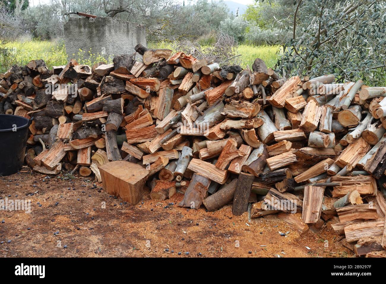 Stack of freshly cut wood logs. Chopped firewood pile Stock Photo - Alamy
