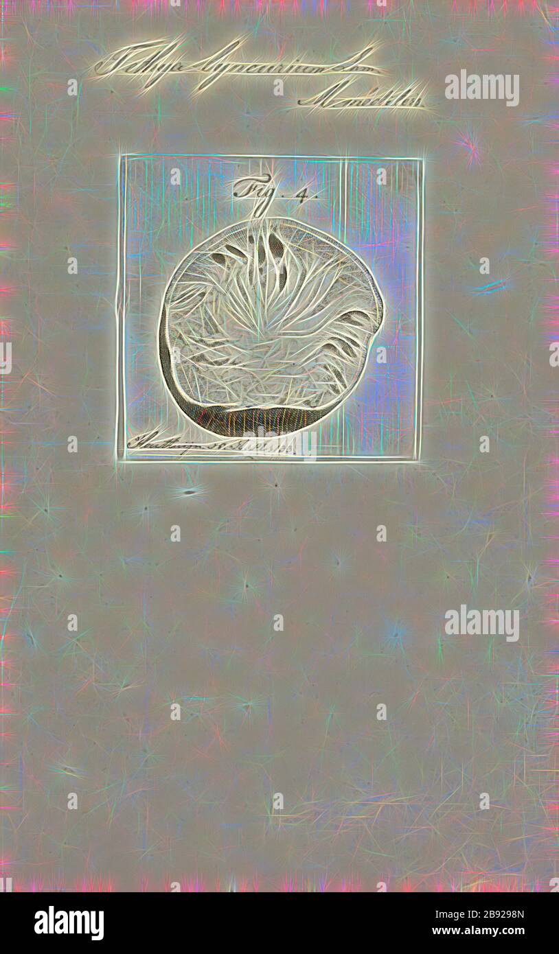 Sponge spicules hi-res stock photography and images - Alamy