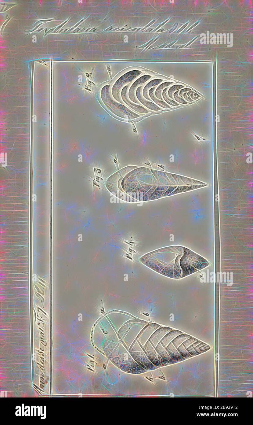 Vagile hi-res stock photography and images - Alamy