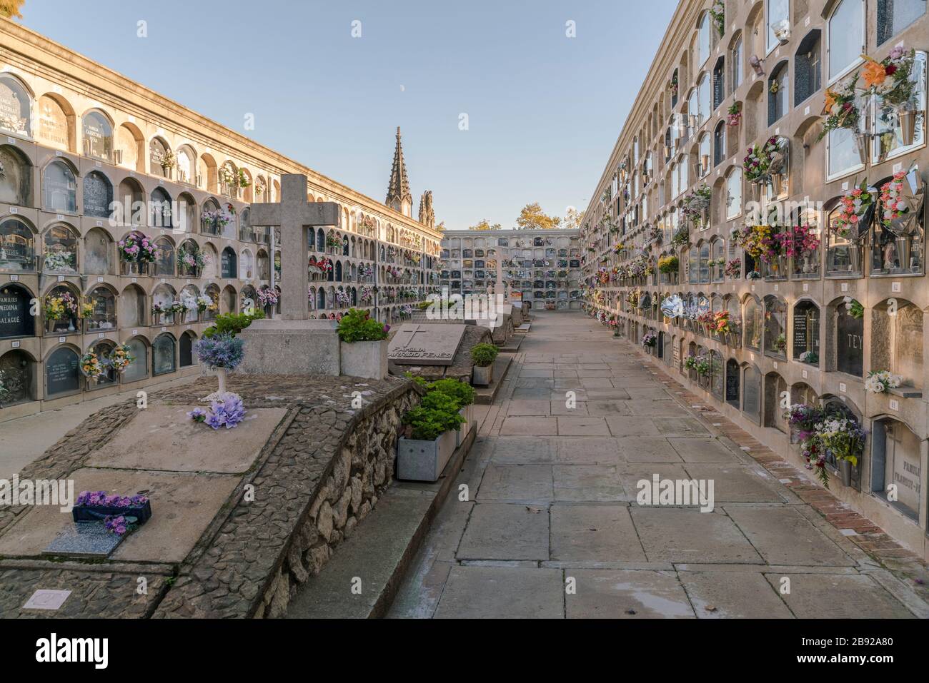 Passage with crosses in historic Poblenou Cemetery in Barcelona Stock ...